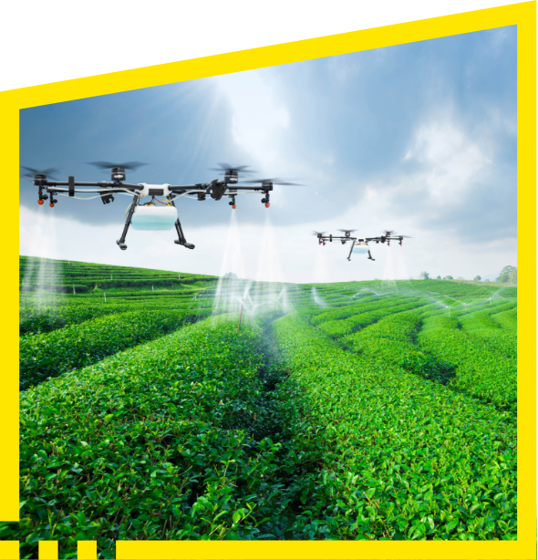 How financial services can mobilize capital to deliver net zero