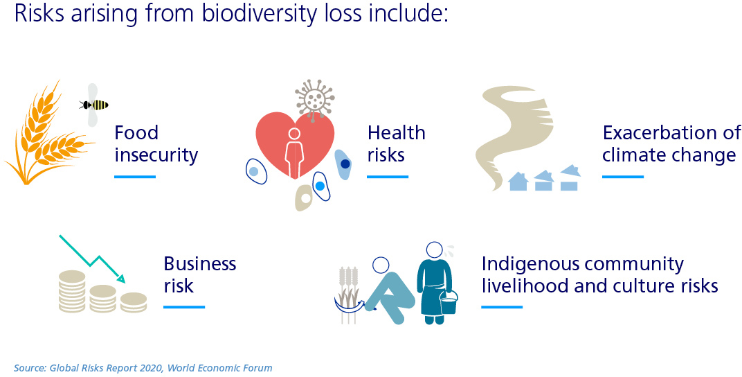 Loss of biodiversity puts food supplies, medical care at risk