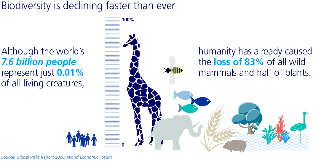 Loss of biodiversity puts food supplies, medical care at risk